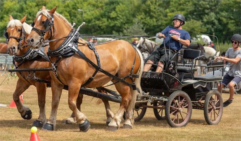 Fordingbridge Festival in New Forest